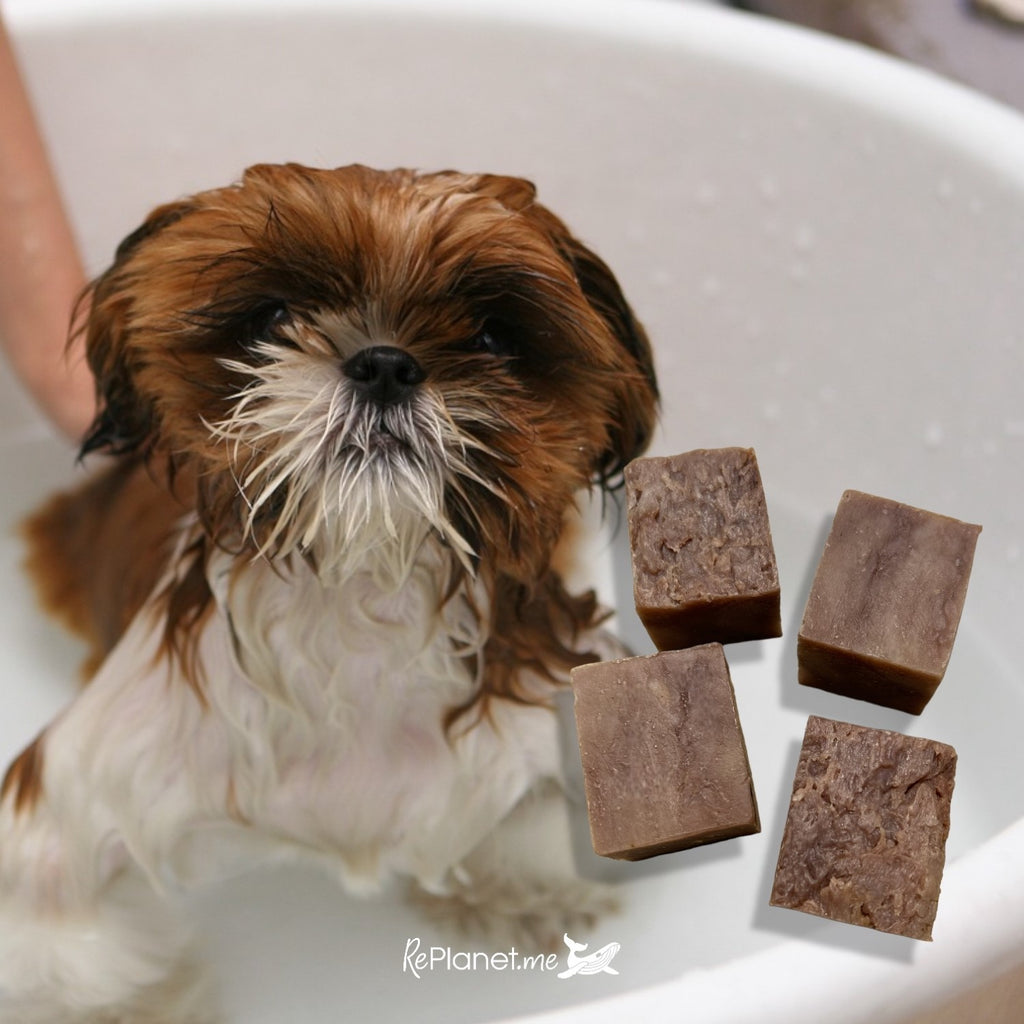 RePlanetMe Paw Soap (Pet Soap) สบู่อาบน้ำสัตว์เลี้ยง (180g/4-Bars Set ...