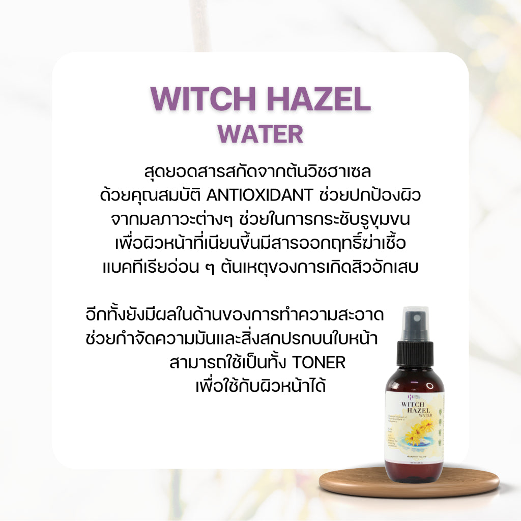 Herbal Studio Witch Hazel Water (100 ml) เฮอบัล สตูดิโอ วิชฮาเซล วอเตอร ...