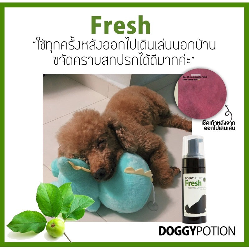 Doggy Potion Fresh Waterless Cleansing Foam (150 ml) | Organic Pavilion